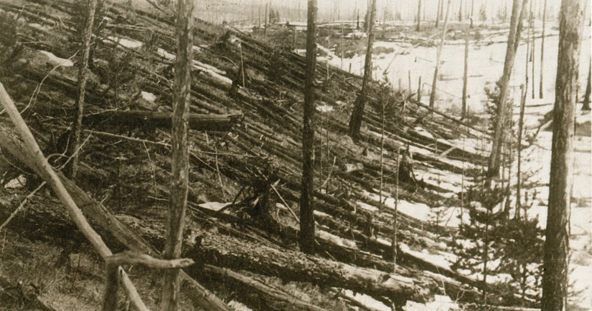 Tunguska trees | The Planetary Society