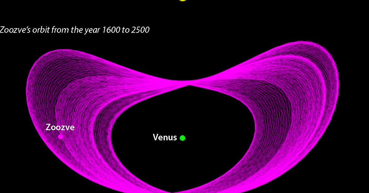 Zoozve's orbit | The Planetary Society
