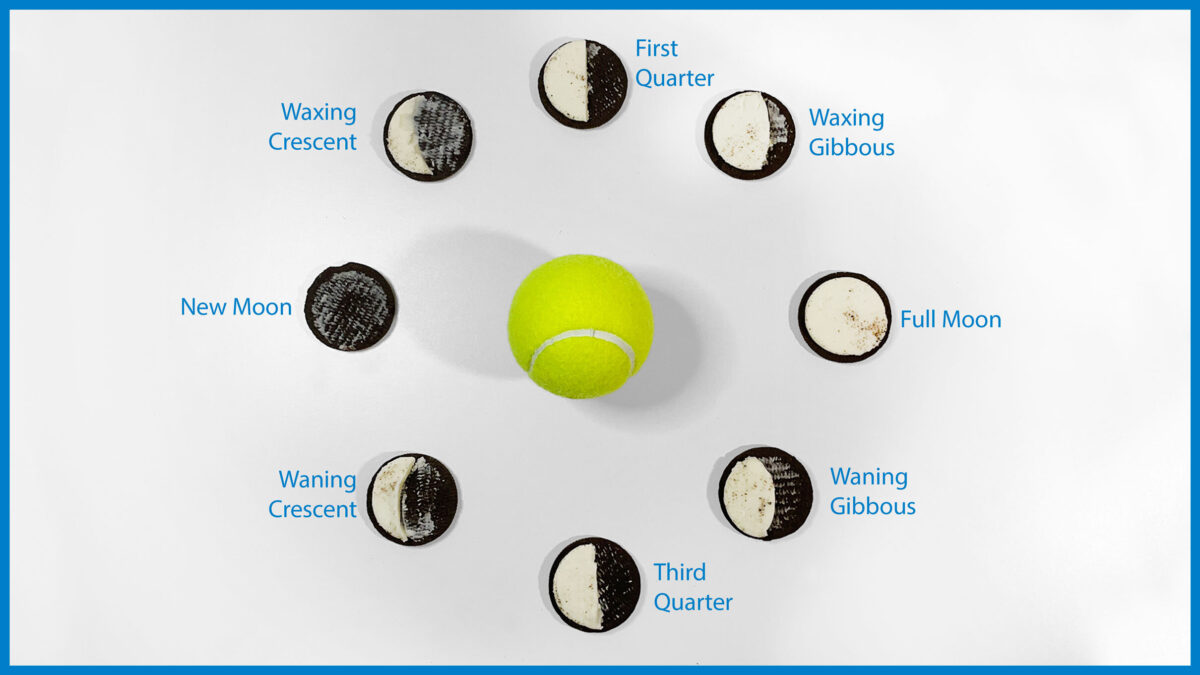 Moon cookies complete phases | The Planetary Society