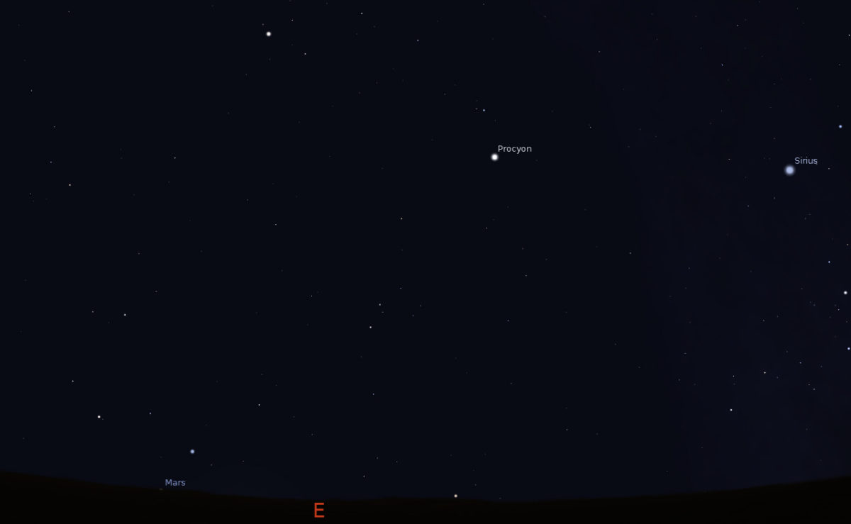 Where to look for Leonids overnight on… | The Planetary Society