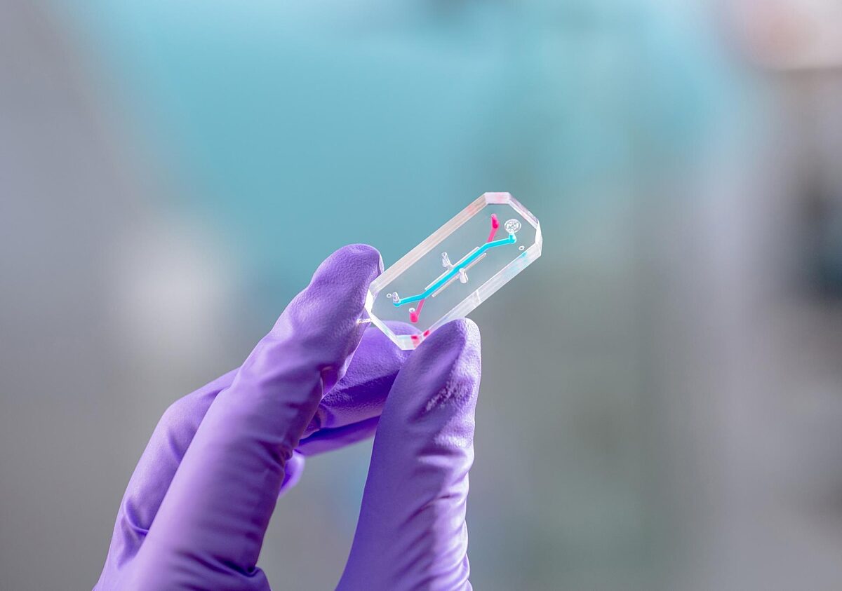 AVATAR organ chip | The Planetary Society