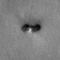 51 Pegasi b | The Planetary Society