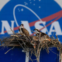 The best space pictures from JWST | The Planetary Society