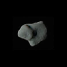 Gaspra in color (best resolution) | The Planetary Society