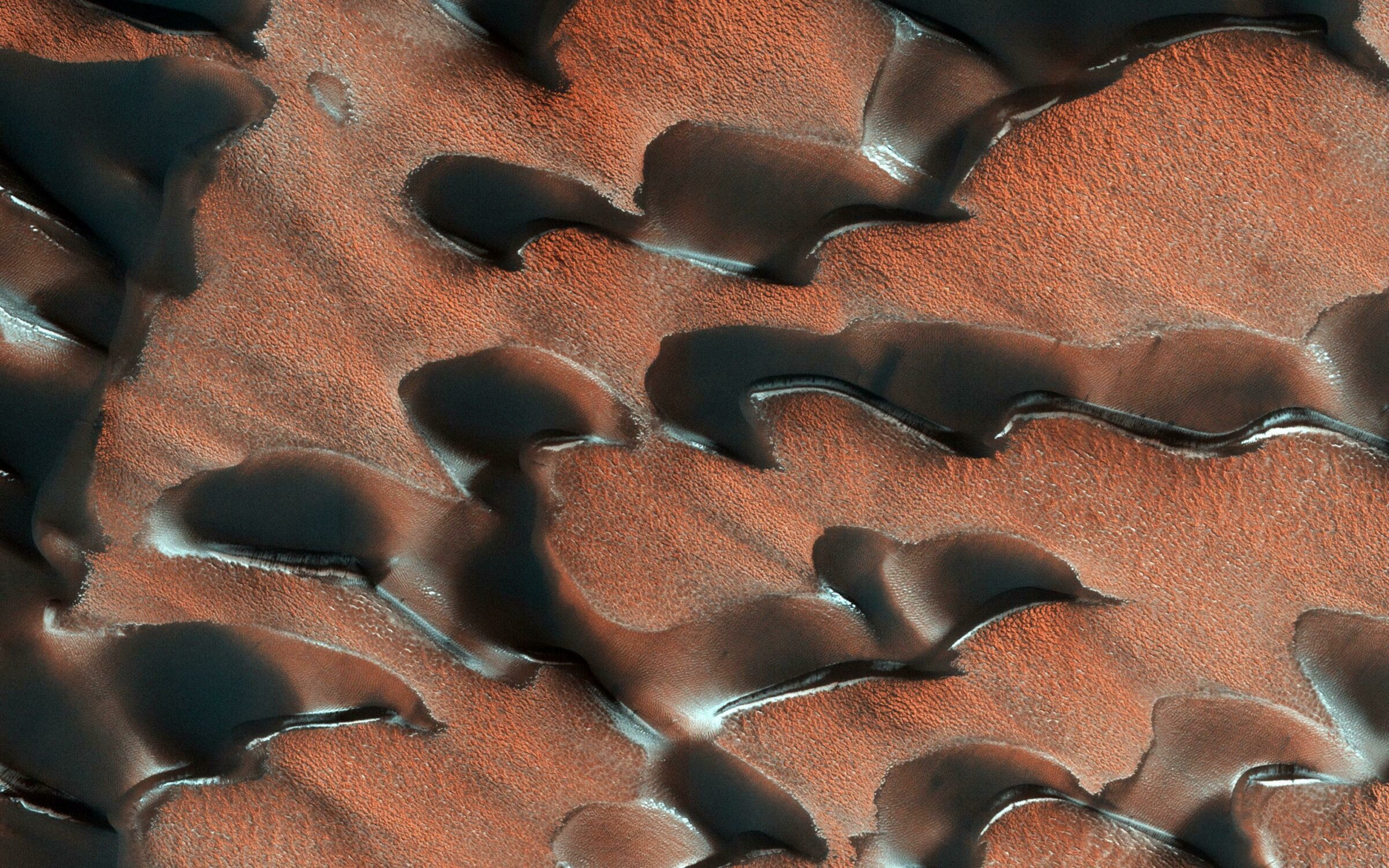 Martian Dust and Frost | The Planetary Society