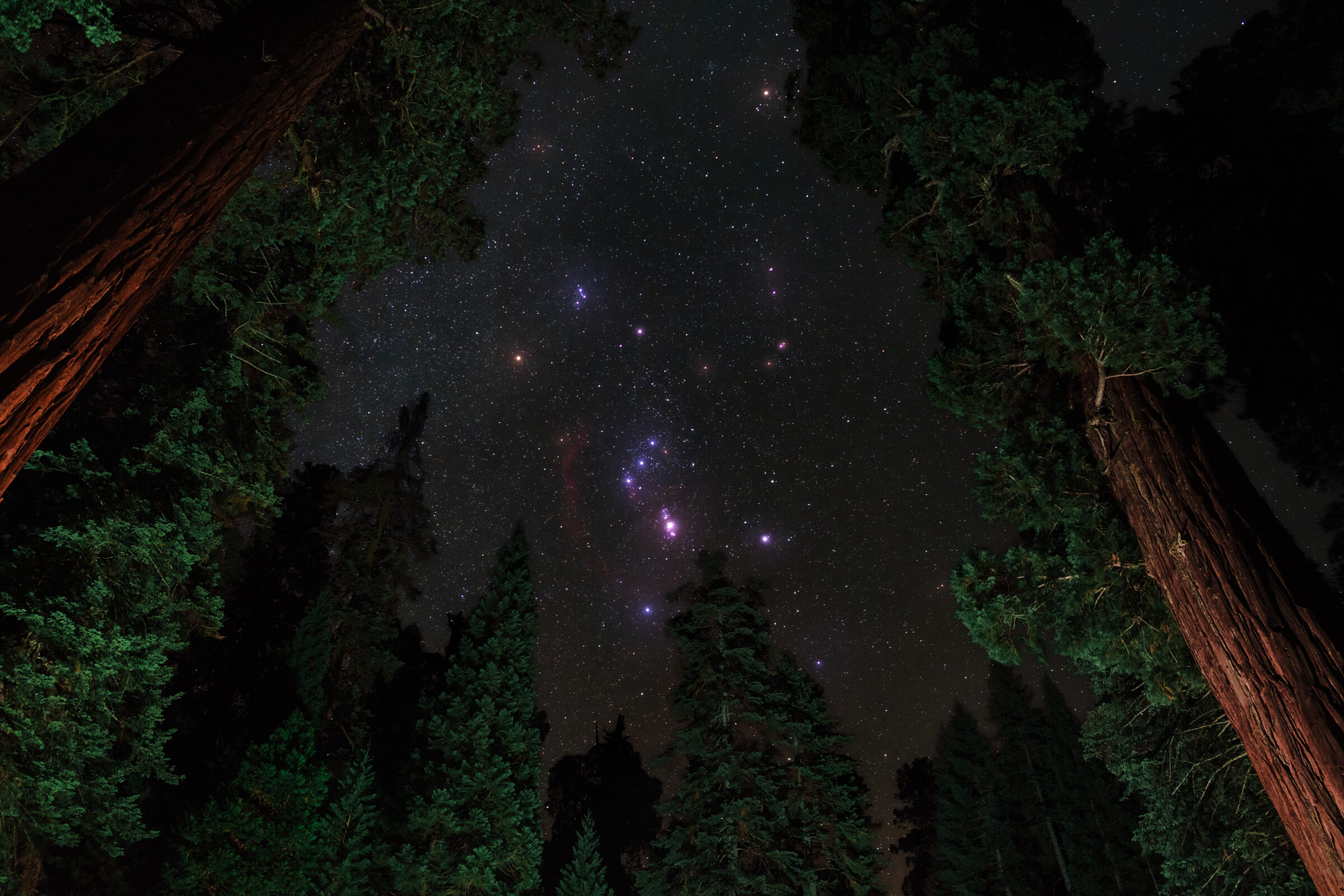 Orion seen from the Sequoia National Park | The Planetary Society