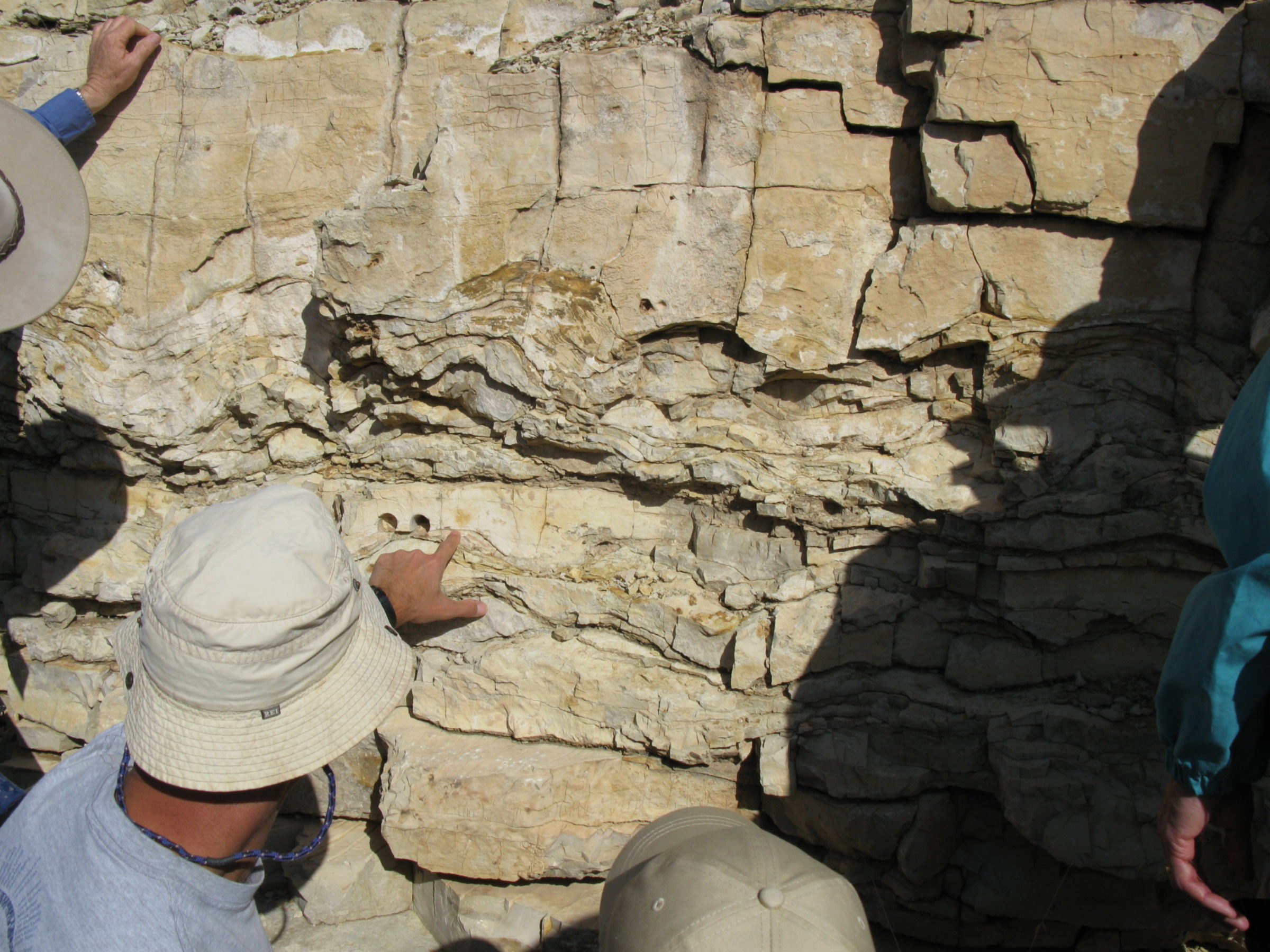 Fossil stromatolites | The Planetary Society