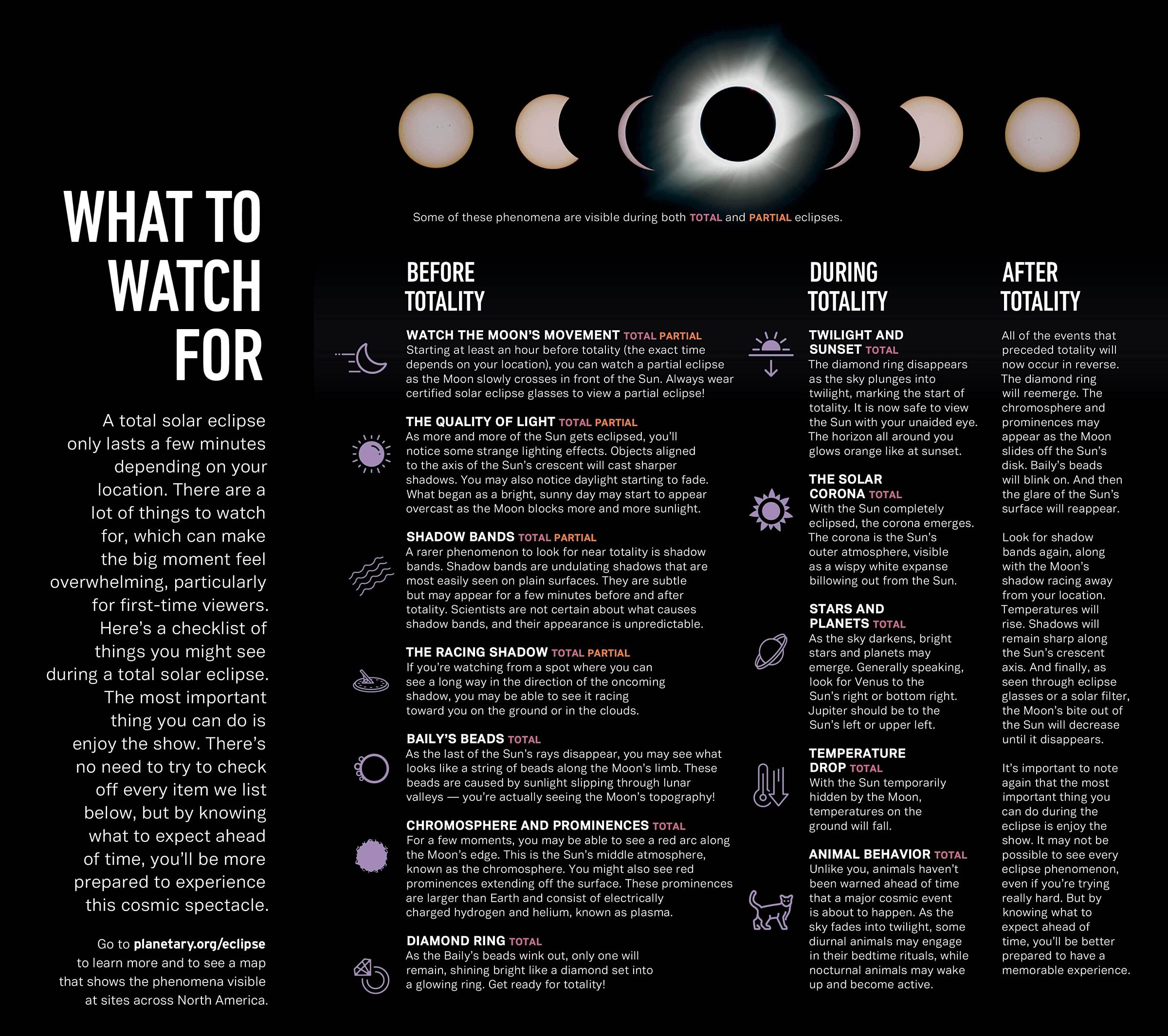 Eclipse phenomena infographic | The Planetary Society