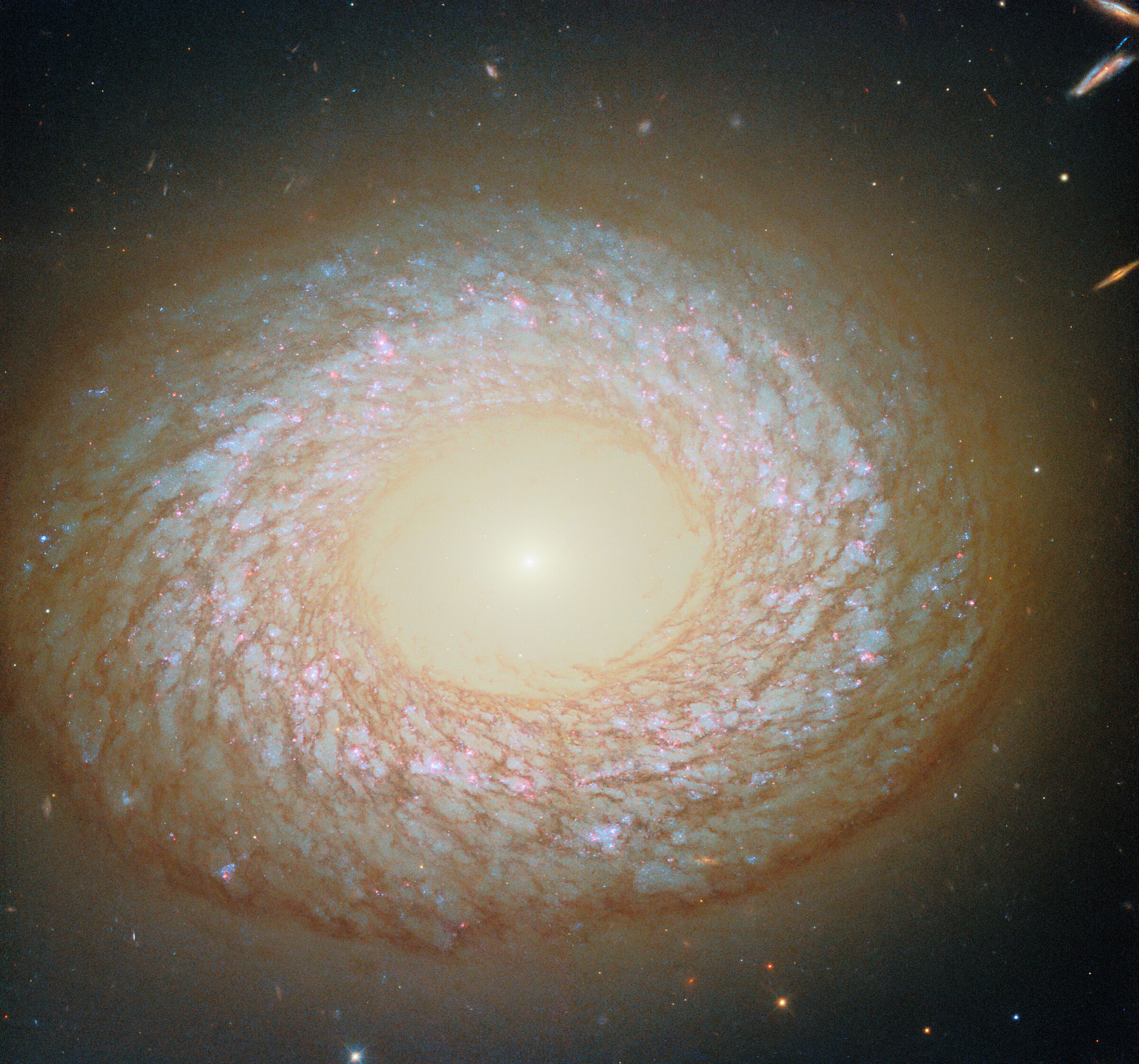 NGC 2775 | The Planetary Society