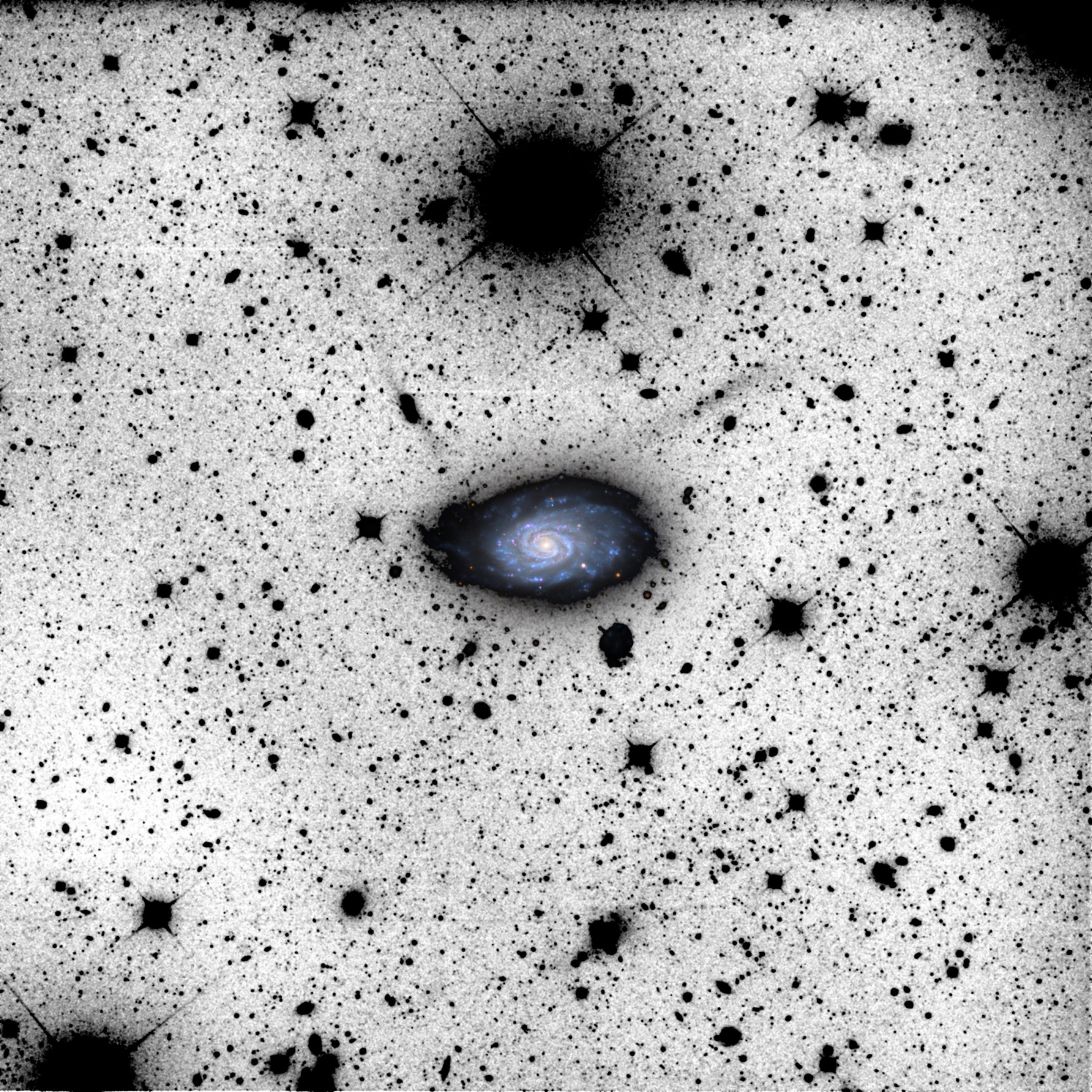 NGC 3614 (inverted) | The Planetary Society