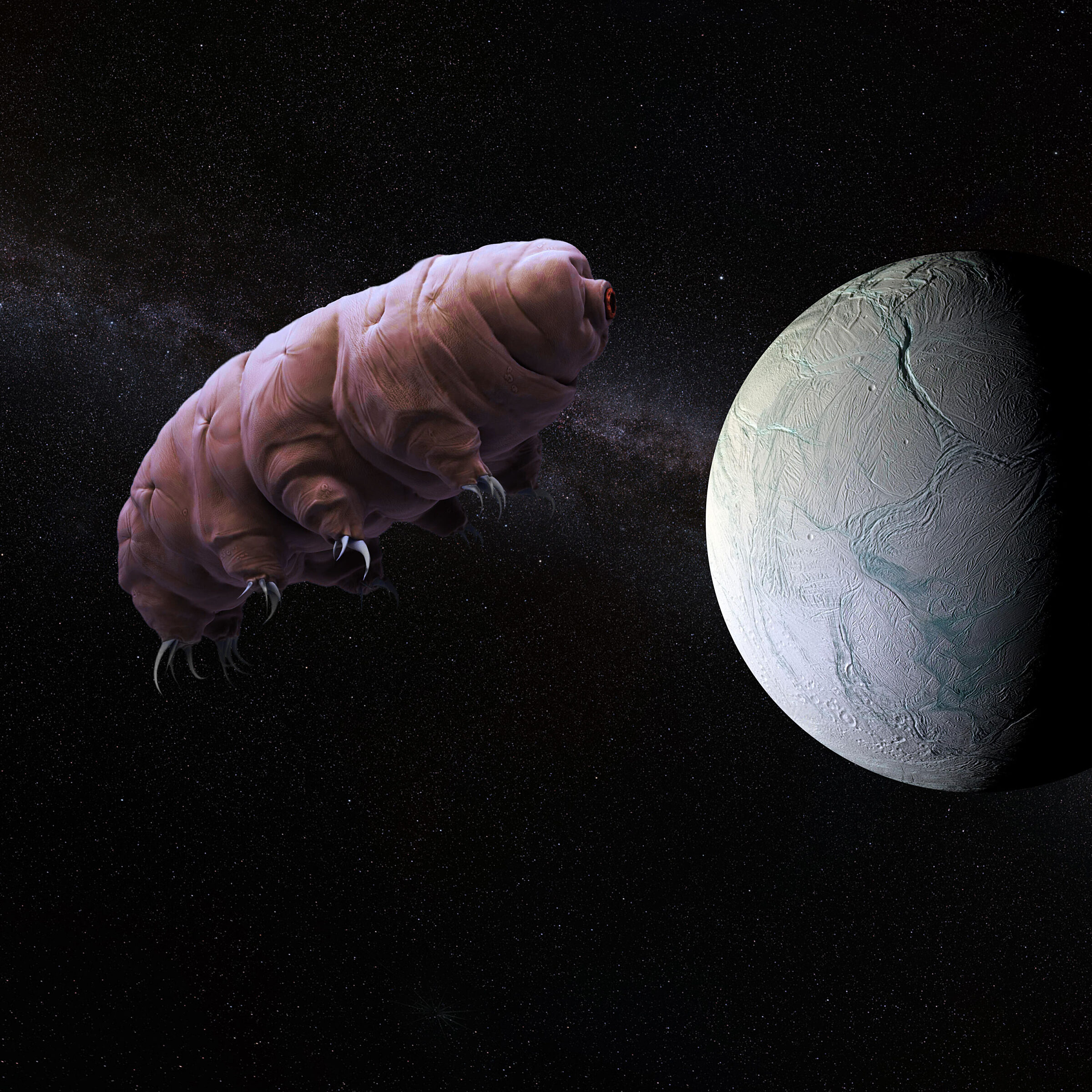 Tardigrade in space | The Planetary Society