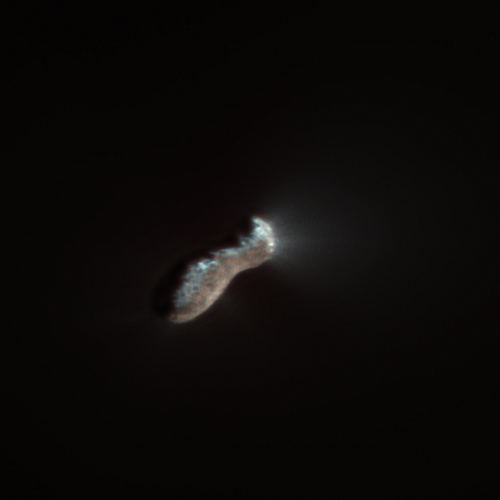 Comet 103P/Hartley 2 from Deep Impact, in… | The Planetary Society