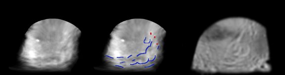 A simple sketch map of Ceres | The Planetary Society