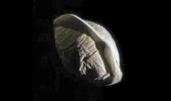 Pan imaged by Cassini | The Planetary Society