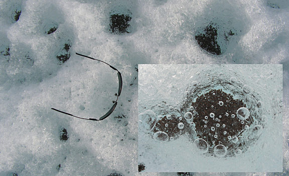 Cryoconites in glacier ice | The Planetary Society