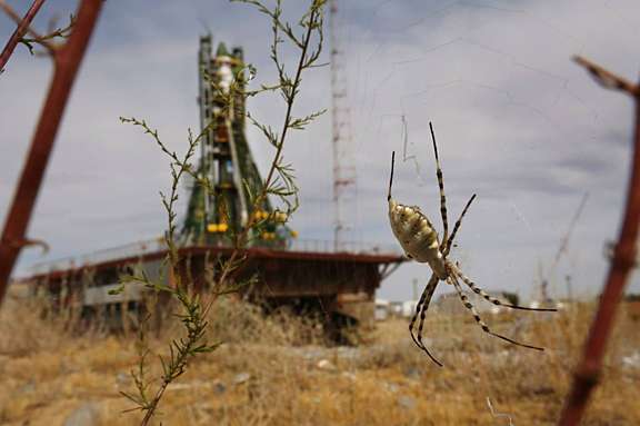 Spider attack | The Planetary Society
