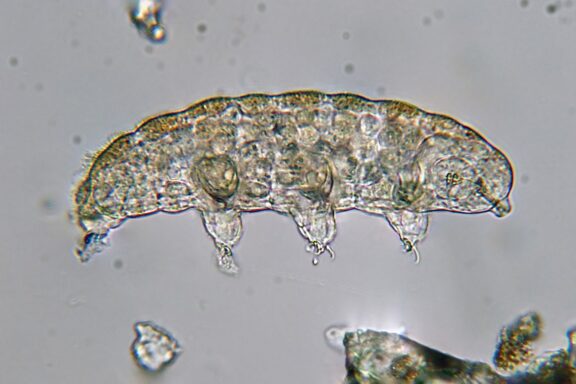 Are aliens real? | The Planetary Society