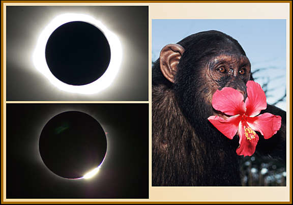 Uganda Eclipse Tour | The Planetary Society