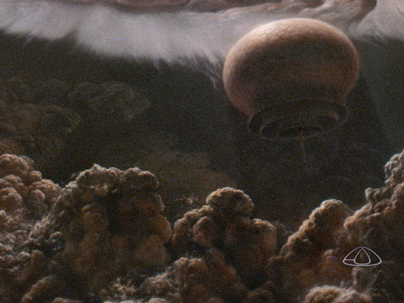 Creating Life on a Gas Giant | The Planetary Society