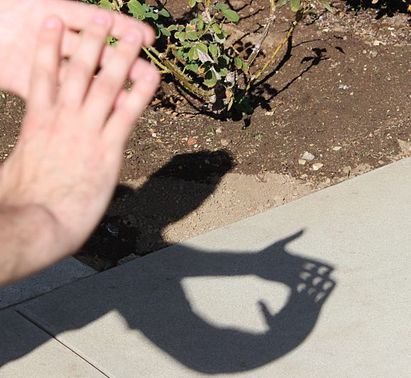 Why partial eclipses are worth seeing | The Planetary Society