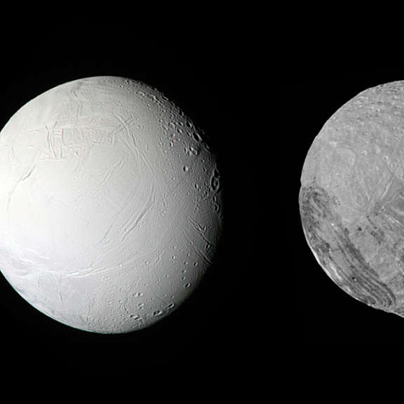 Laura Danly head shot | The Planetary Society