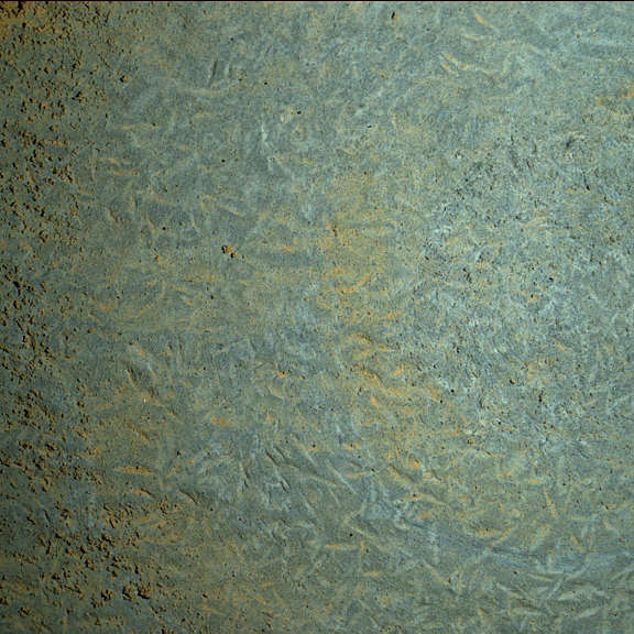 NGC 3614 (inverted) | The Planetary Society