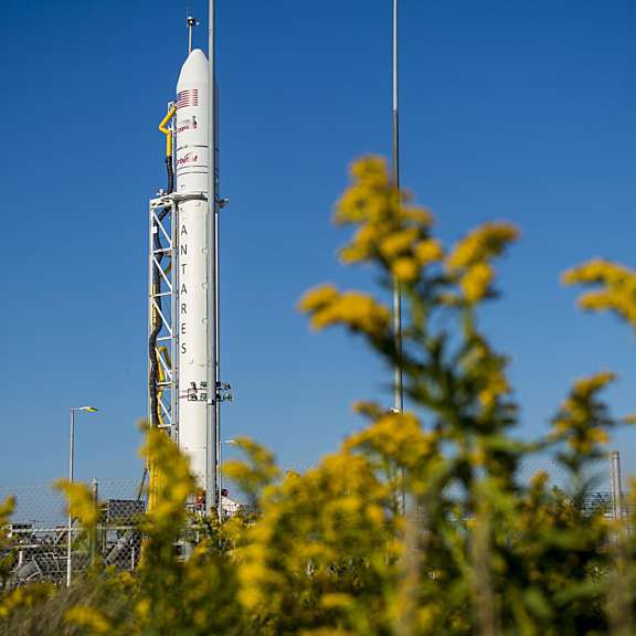 Thomas Greene portrait | The Planetary Society