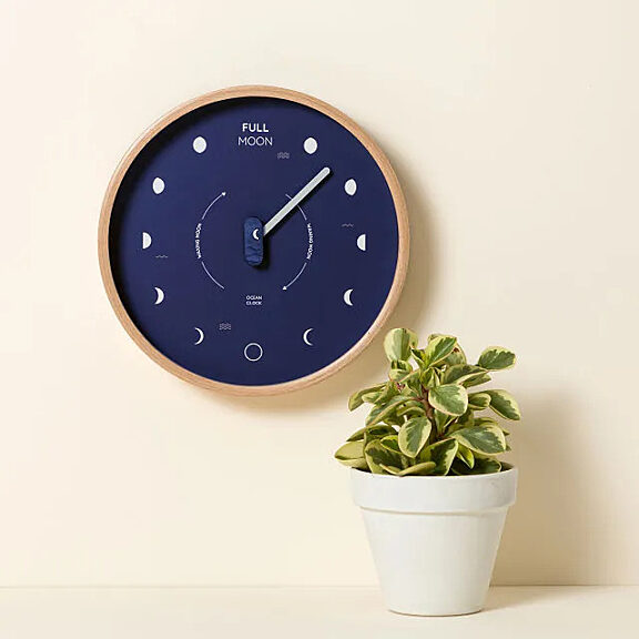 The Planetary Society’s 2025 space gift guide | The Planetary Society