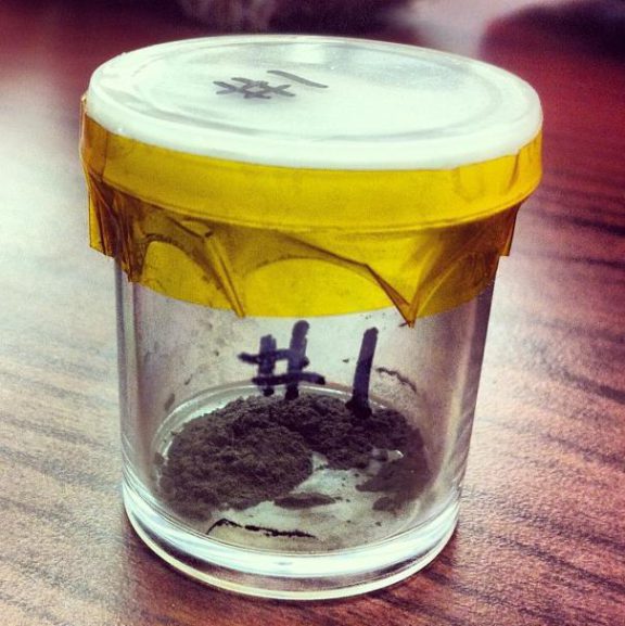 Apollo 17 lunar dust sample | The Planetary Society