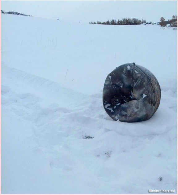 Progress MS-04 tank | The Planetary Society