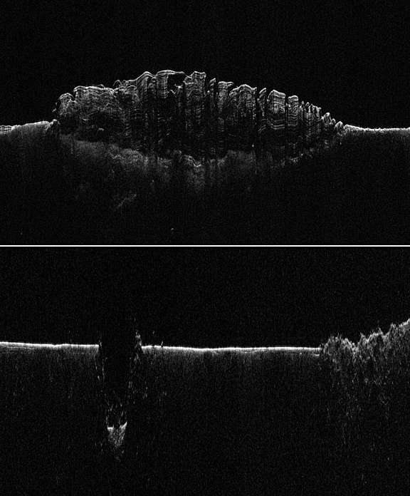 SHARAD: Delving Deep at Mars | The Planetary Society