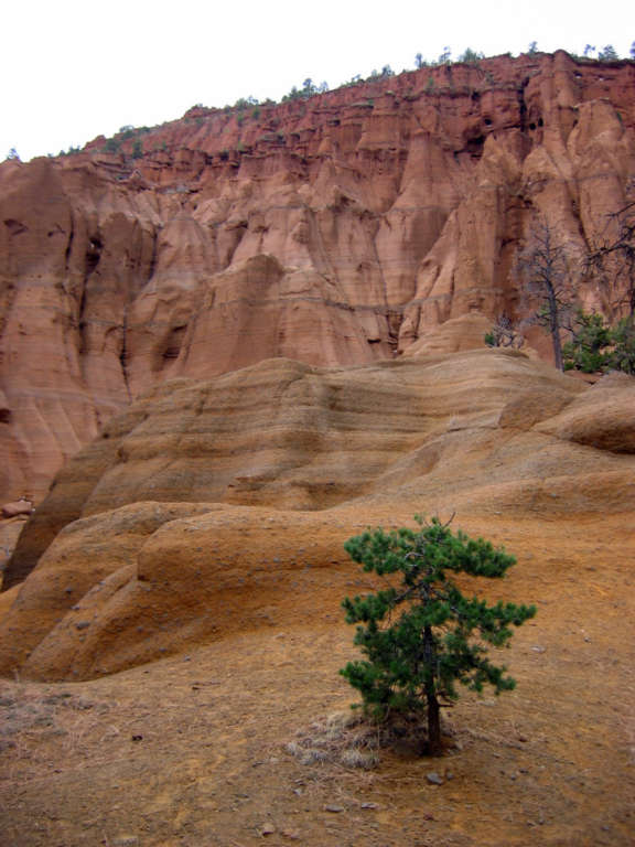 The interior of Red Mountain cinder cone | The Planetary Society
