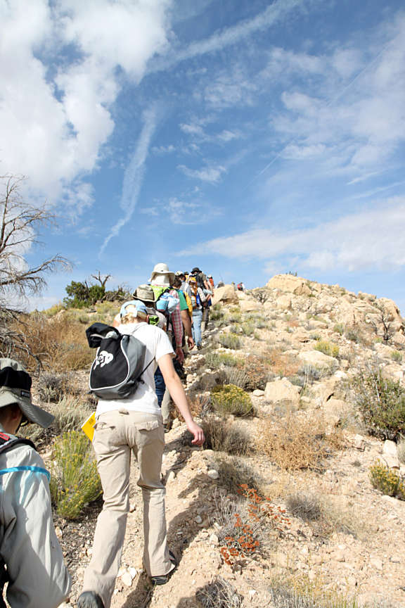 Uneven terrain on Meteor Crater's rim | The Planetary Society