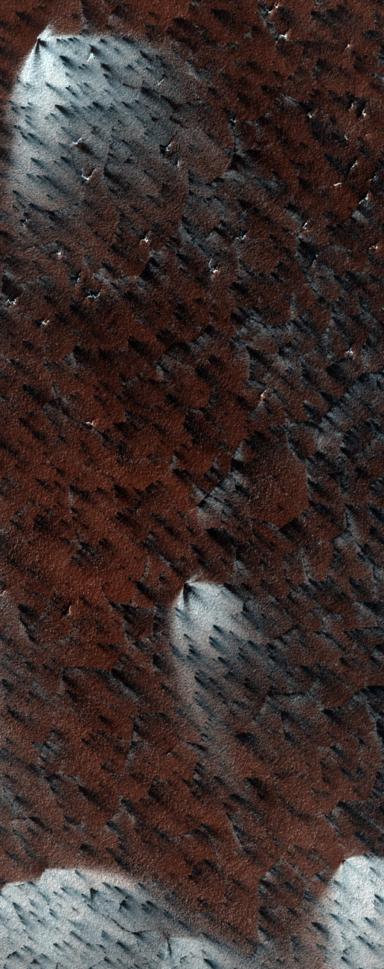 Martian Fans | The Planetary Society