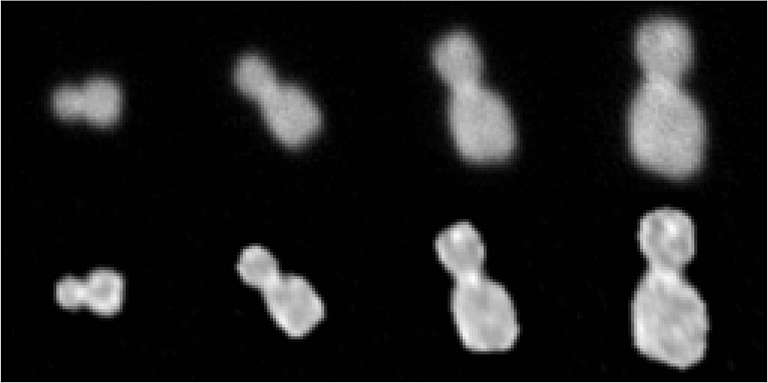 A few new images of MU69 | The Planetary Society