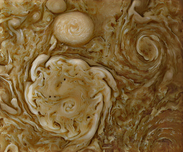 Jupiter's circumpolar cyclone | The Planetary Society