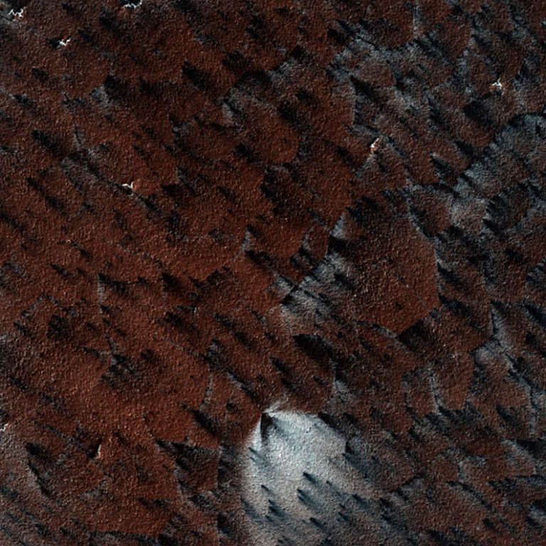 The Geologic Time Scale (2012) | The Planetary Society