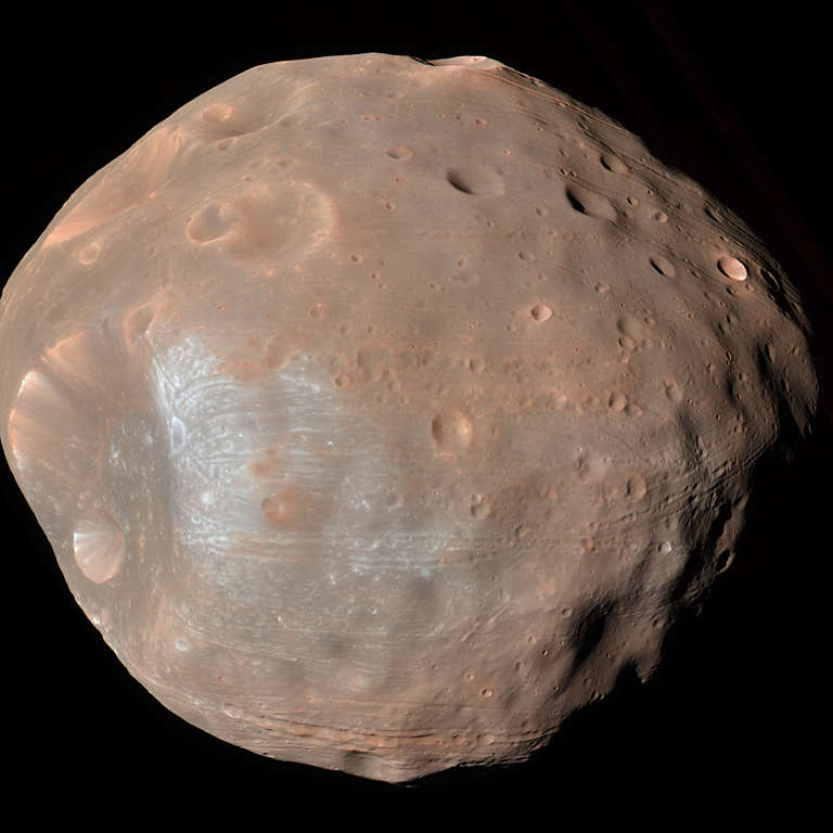 Signs of Life on Mars | The Planetary Society