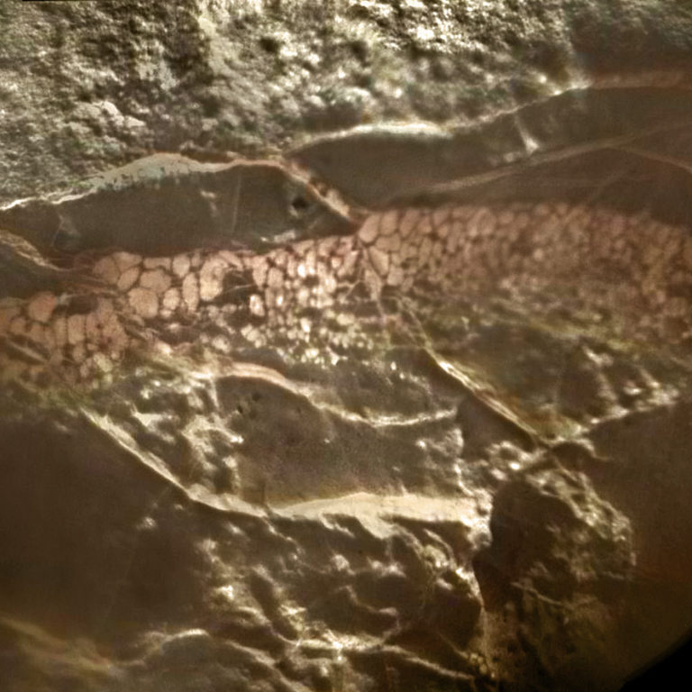 Merged Cassini and Juno global map of Jupiter | The Planetary Society