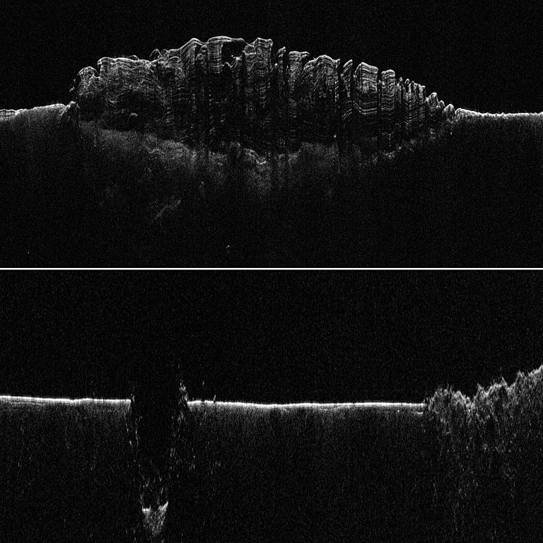 The Great Rift | The Planetary Society