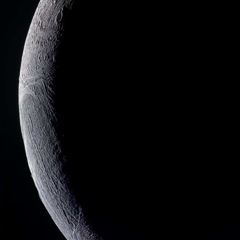 Zoozve's orbit | The Planetary Society