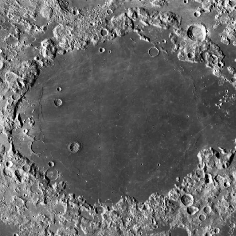 Mars 2020 Rover Does Bicep Curls | The Planetary Society