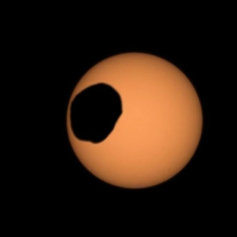 Signs of Life on Mars | The Planetary Society