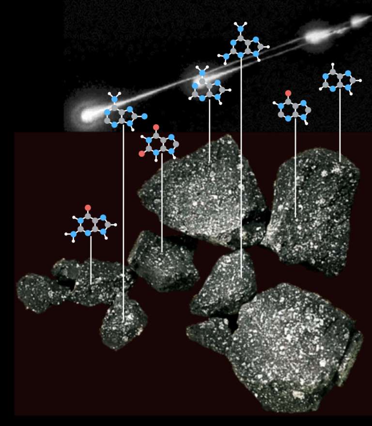 Nucleic acids in carbonaceous meteorites | The Planetary Society