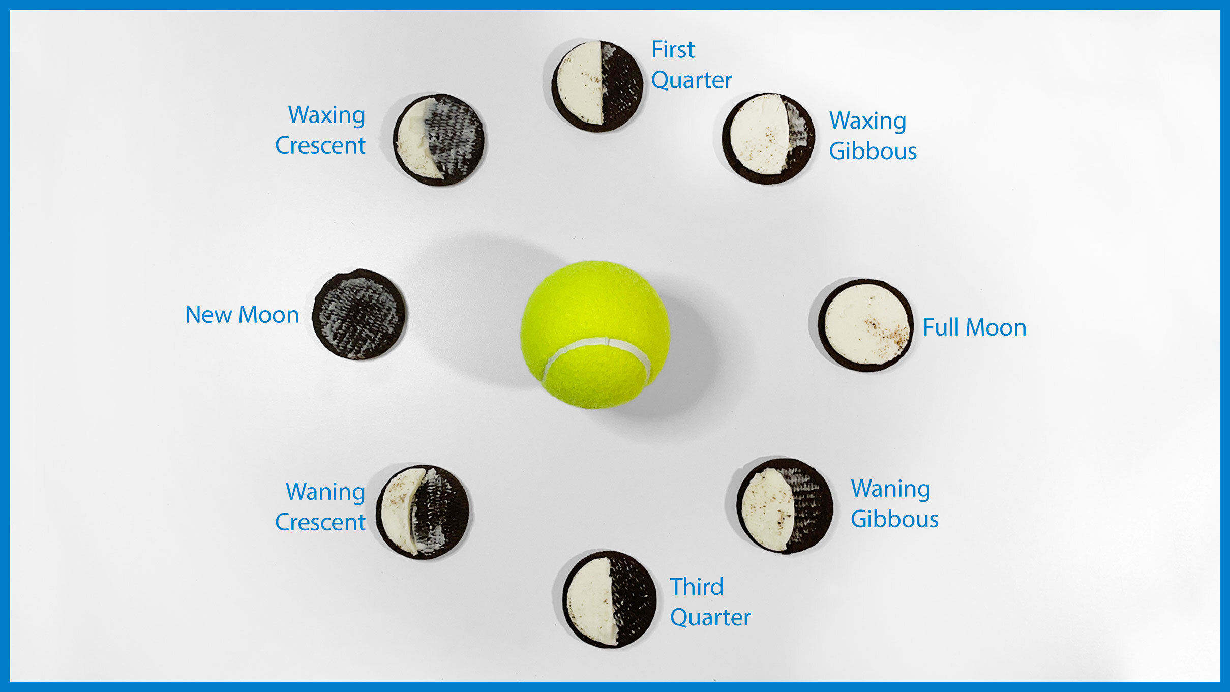 Moon cookies complete phases | The Planetary Society
